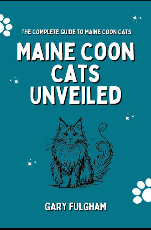 Maine Coon Cat Ebook - Maine Street Cats